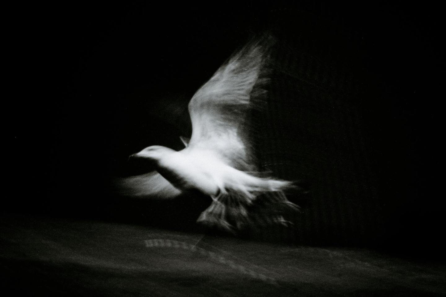 Flying Blind – The Hope Neuron